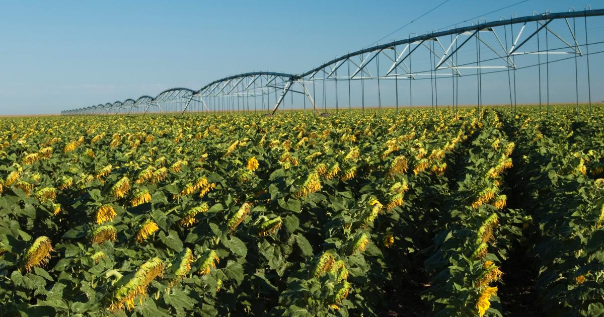 NRCS Texas Opens 2nd FY24 Conservation Program Sign-up