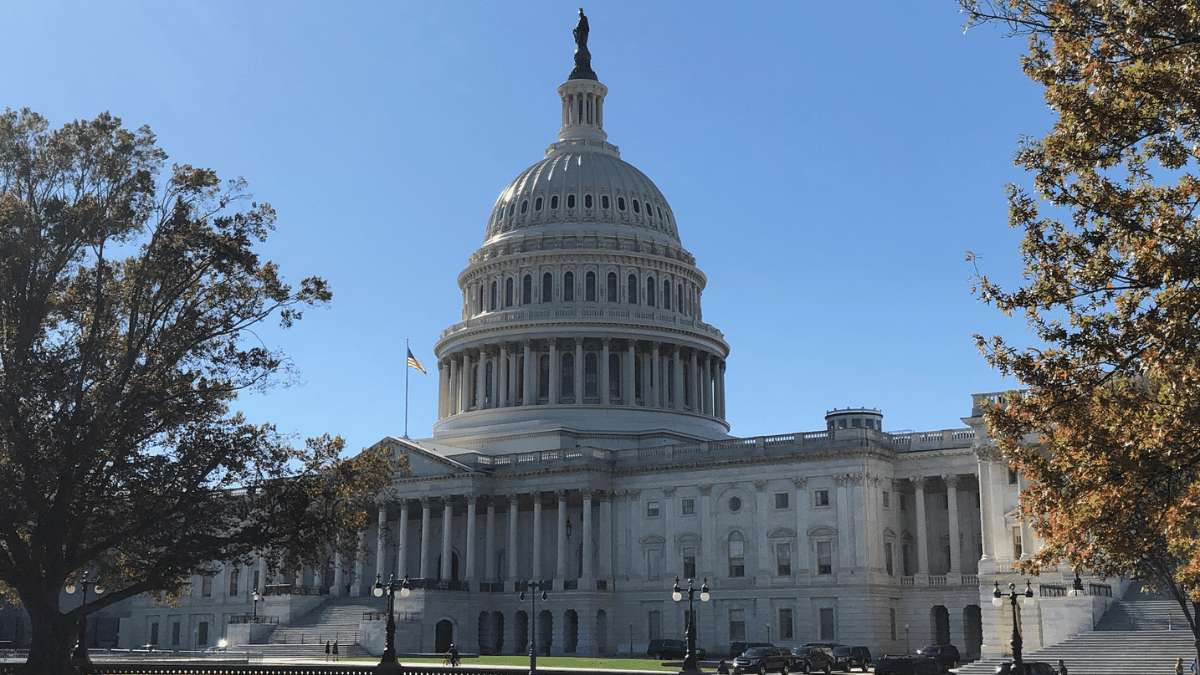 Green Party candidate enters U.S. Senate race