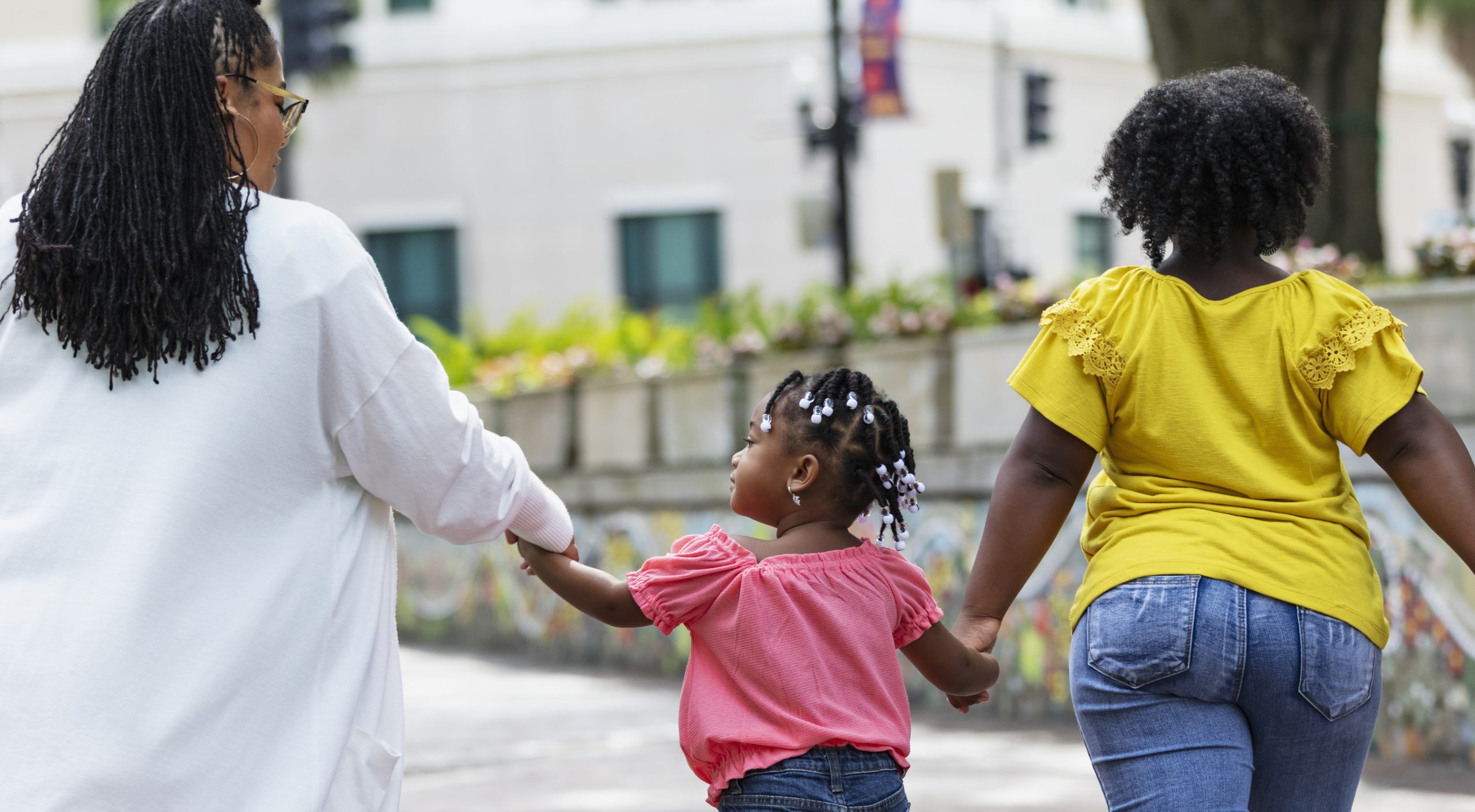 Debate on Special Education Inclusion: Challenges and Perspectives