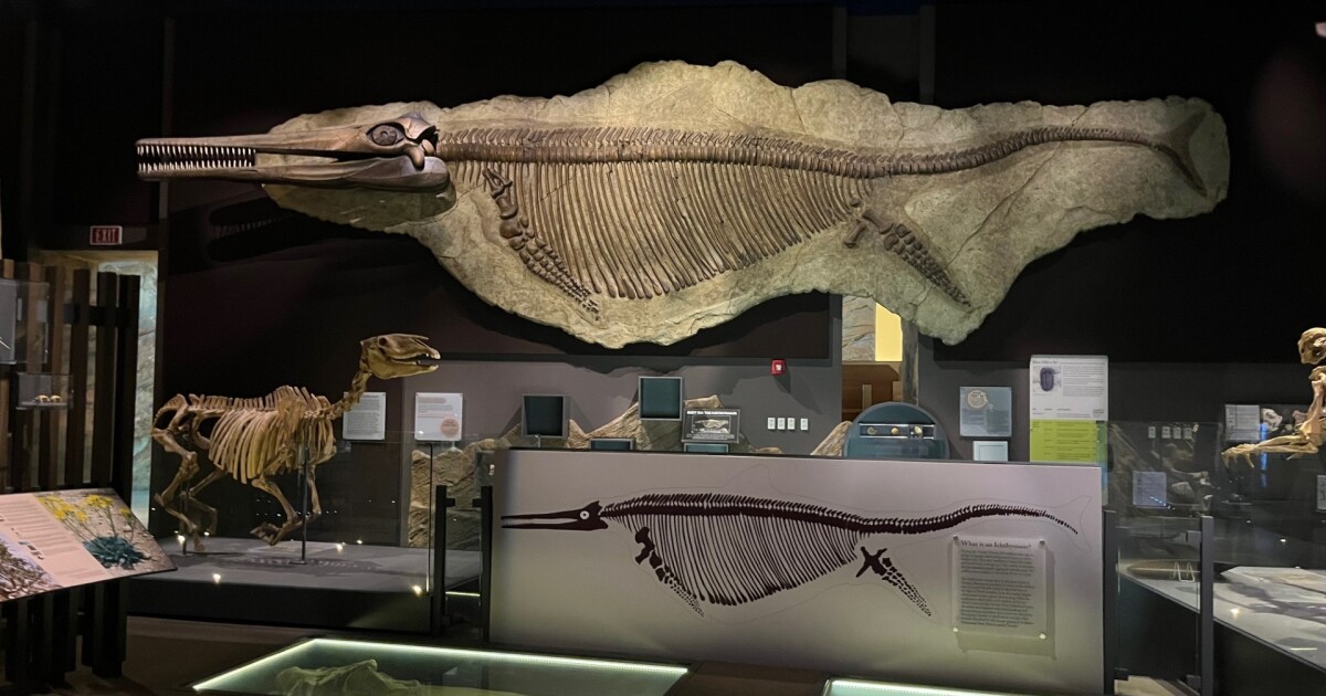 Ichthyosaur Fossils Unveiled in Nevada’s Great Basin Desert