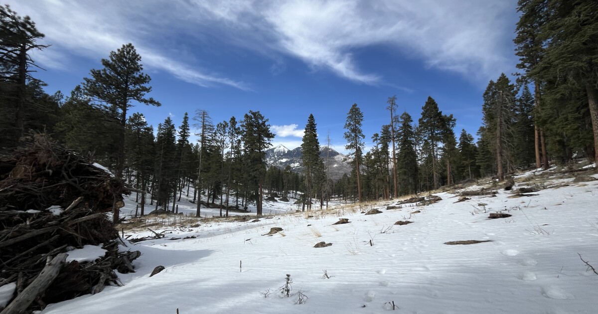 March Storms Bring Relief to Dry Northern Arizona but Drought Persists