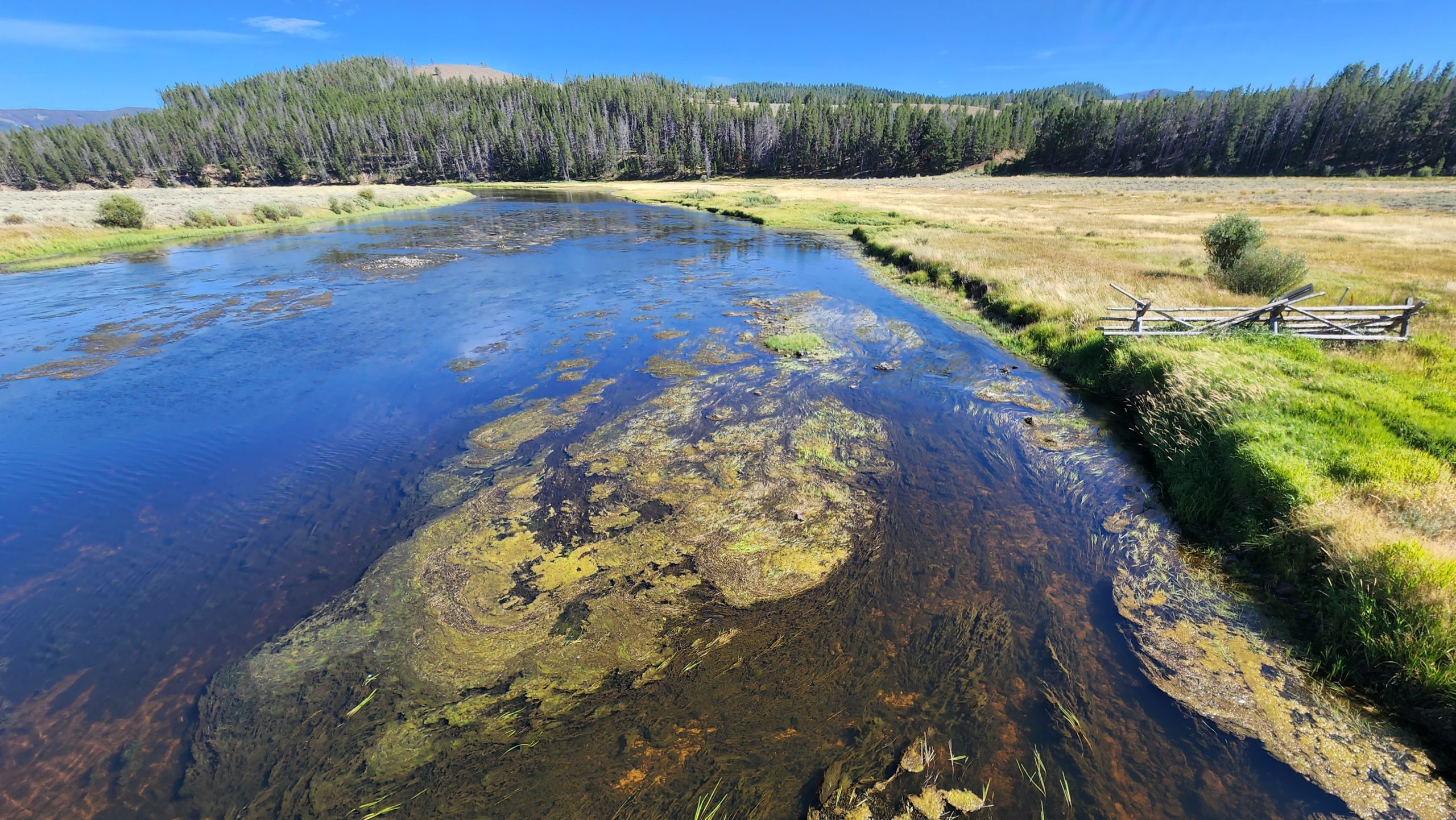 Conservation Groups Petition to Address Big Hole River Nutrient Pollution