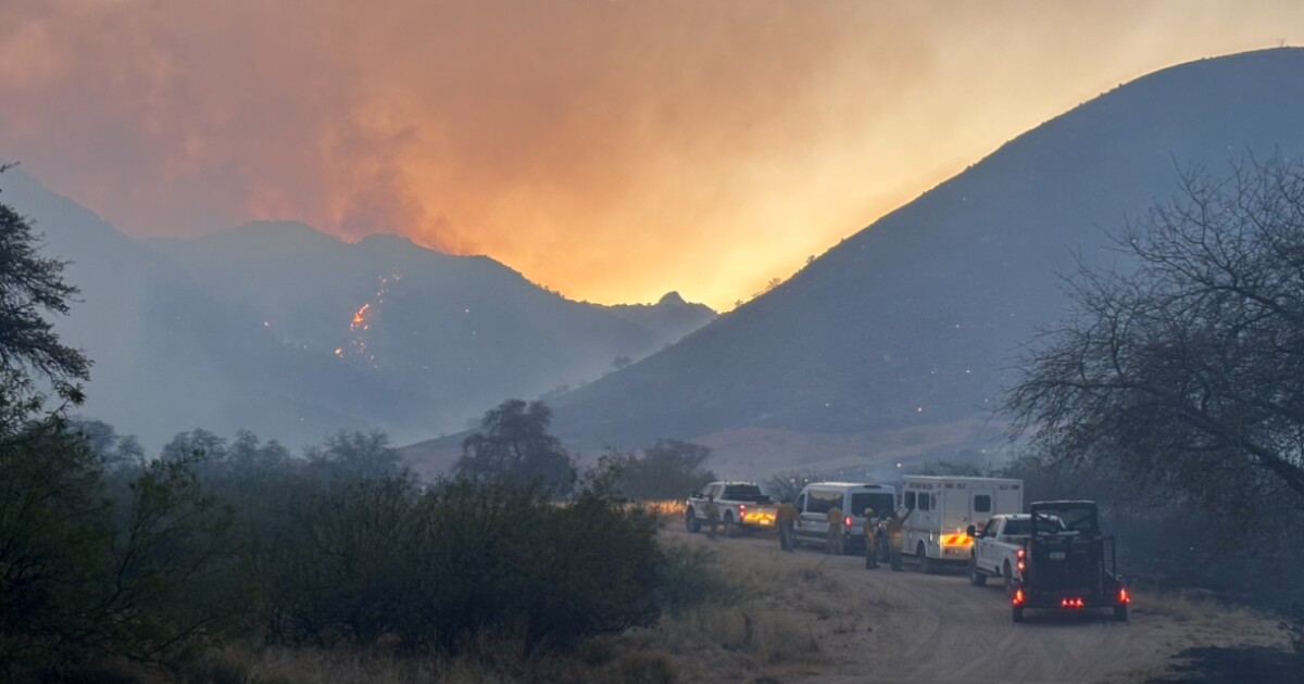 Stronghold Fire in Arizona Grows to 2,300 Acres, Evacuations Ordered