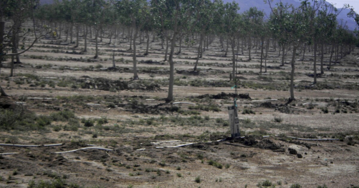 Arizona Governor and GOP Clash Over Rural Groundwater Regulation