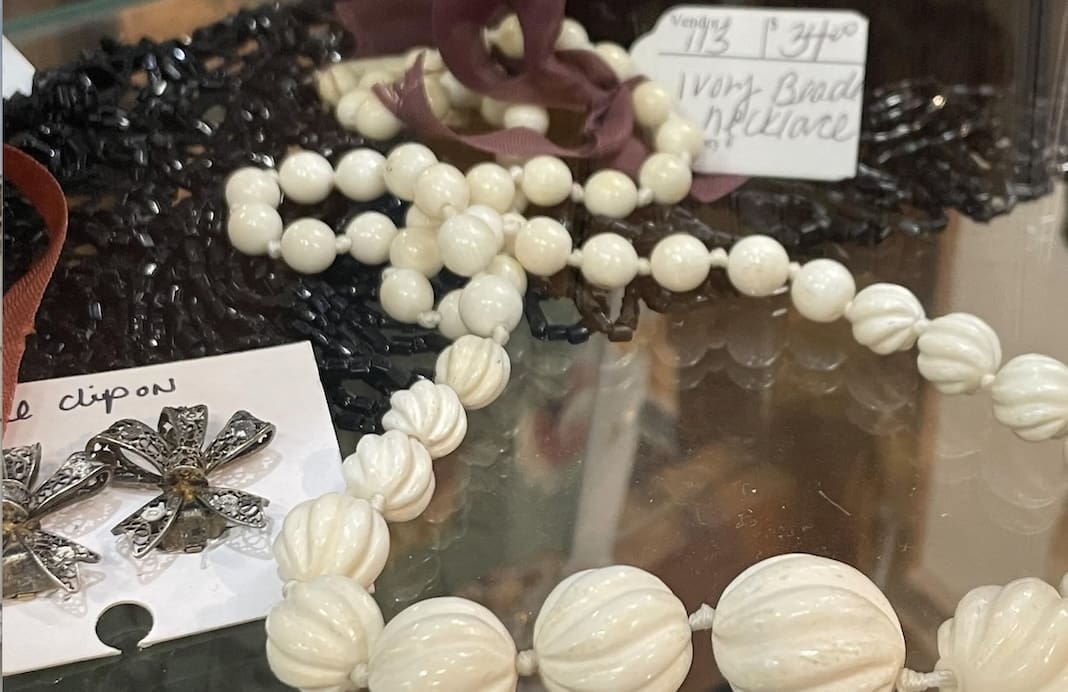 Probe Uncovers Ivory, Endangered Wildlife Sales in PA