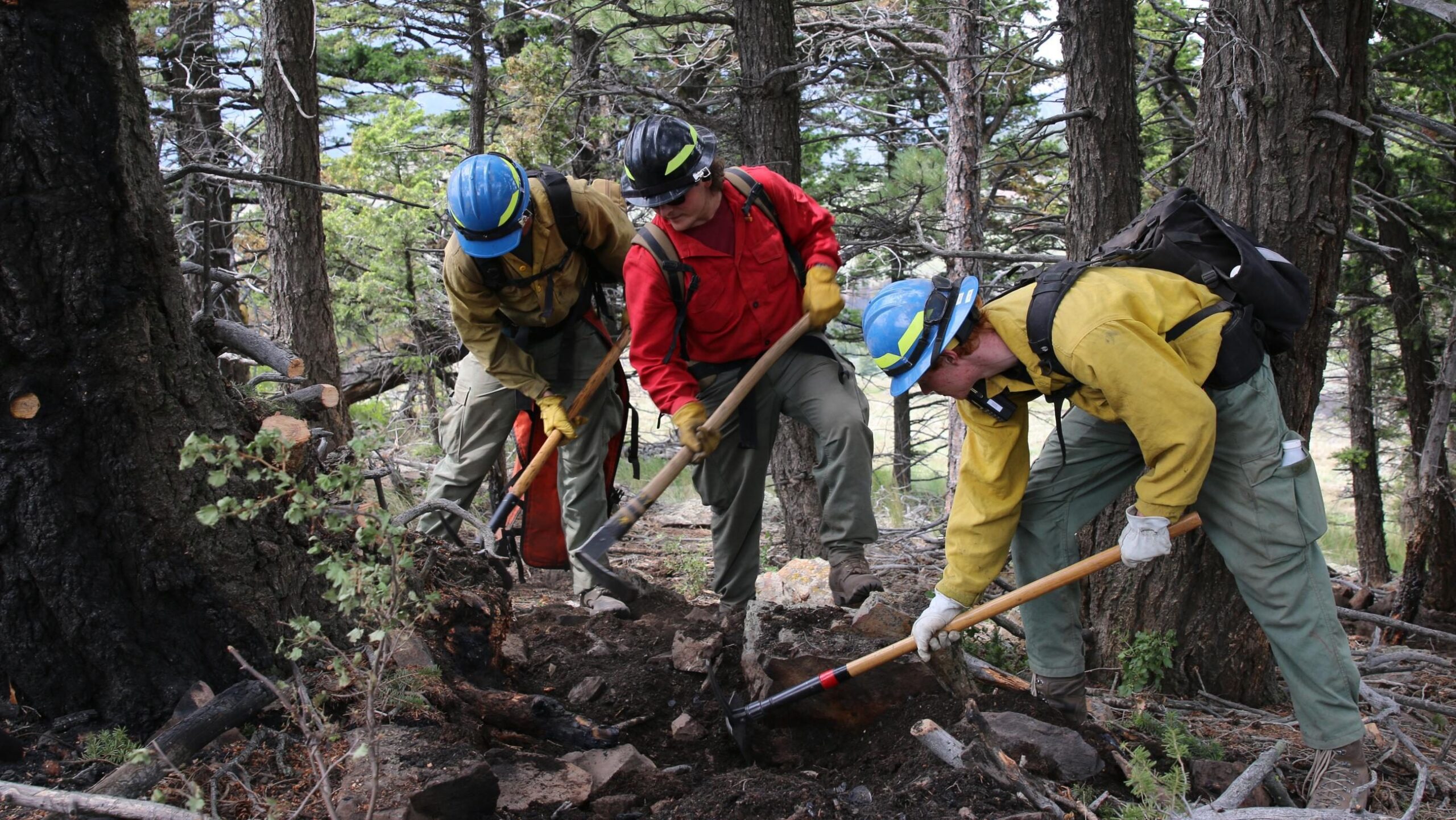 Trump Orders Consolidation of Wildland Firefighting Into Single Program