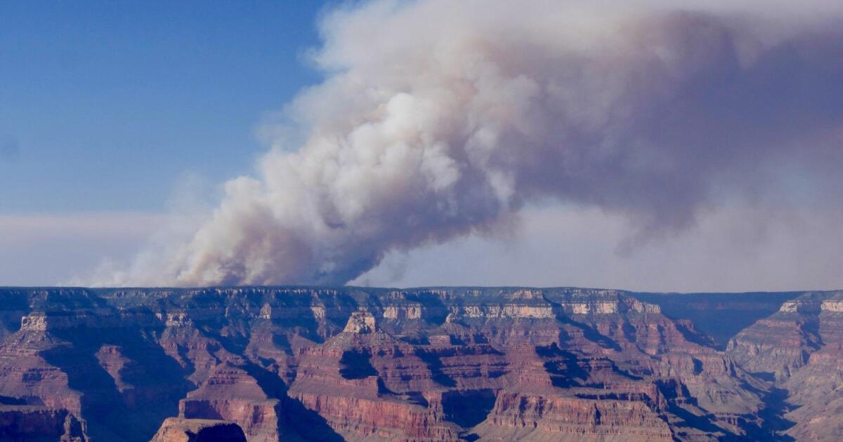 Arizona Officials Demand Investigation into Grand Canyon Fire Response
