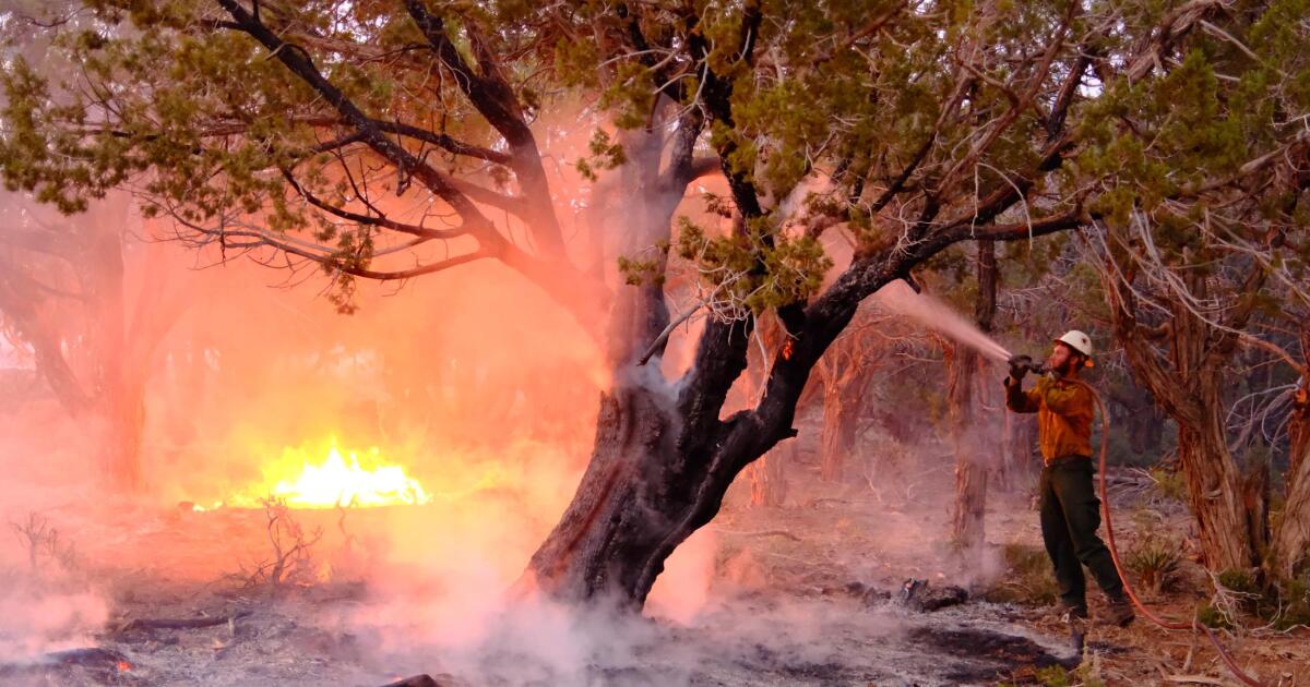 Evacuation Orders Lifted as Crews Contain White Sage Fire in Arizona