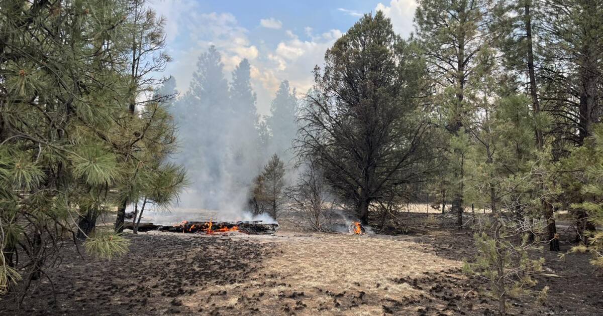 Oak Ridge Fire Evacuation Orders Lifted, 87% Containment Achieved