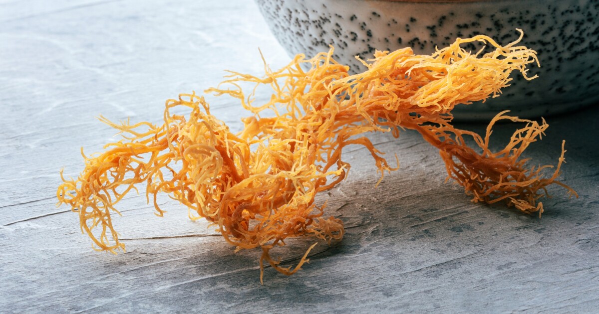 Exploring the Sea Moss Trend: Benefits, Risks, and Market Impact
