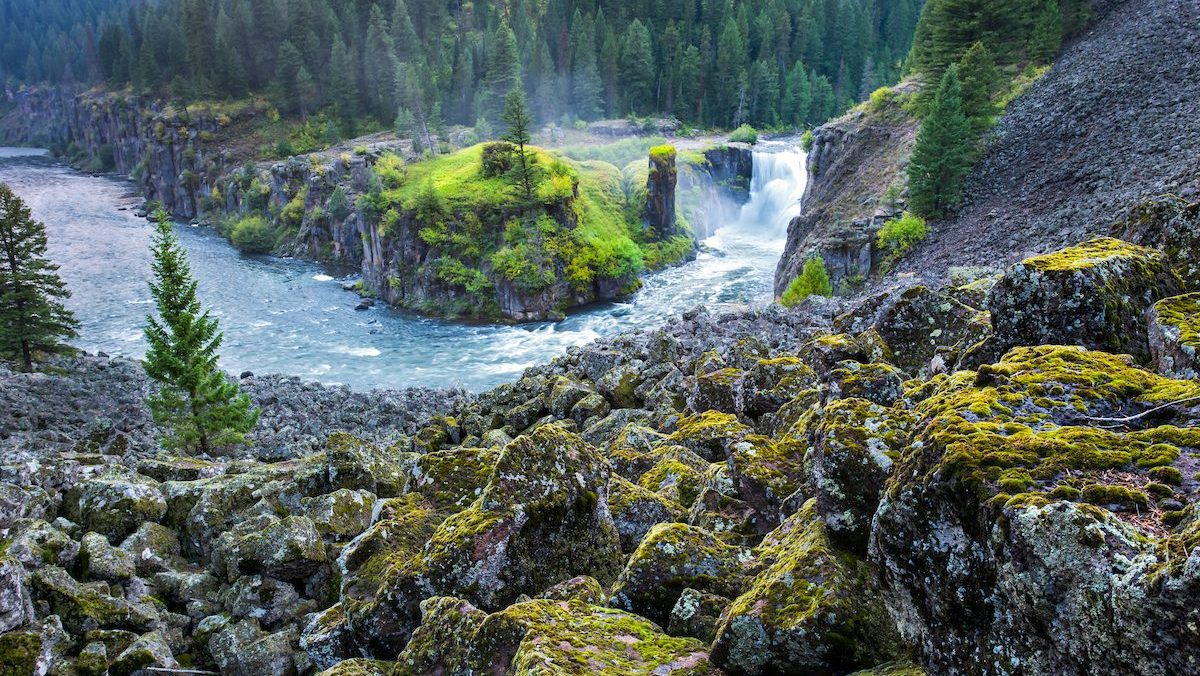 US Forest Service Begins Discussion on Rescinding 2001 Roadless Rule