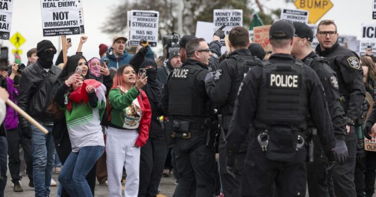 Bystander Videos Transform Public Awareness and Government Transparency