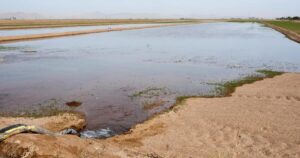 Arizona AG Mayes Opposes Fondomonte’s Bid to Halt Groundwater Lawsuit