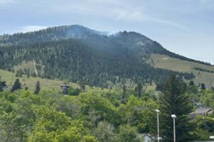 Firefighters Contain Blaze on Mt. Helena; Cause Under Investigation